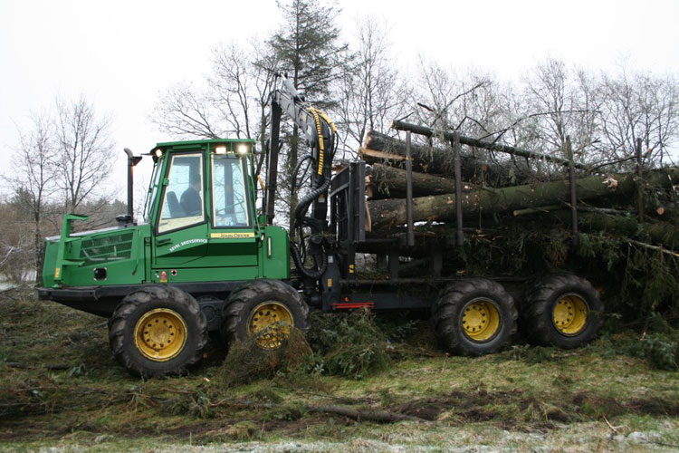 Skovning af store træer til energiflis - Peter Maarup